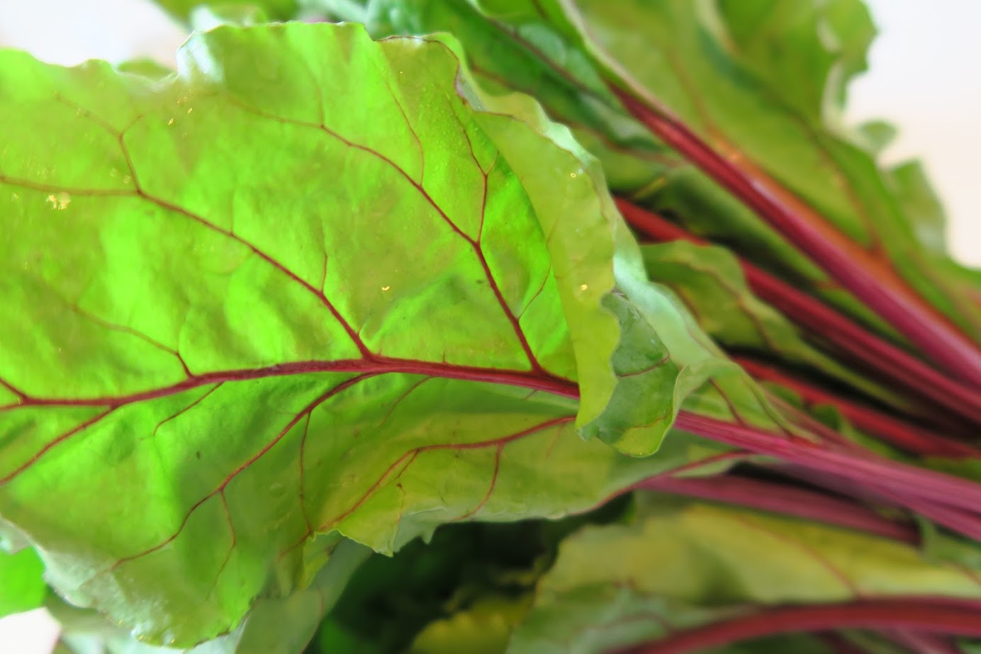 Instant Pot Beet Leaf Holubtsi – Instant Ukrainian