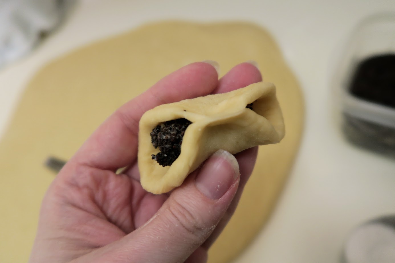 Pampushky – Ukrainian Donuts with poppy seed and raisin filling ...